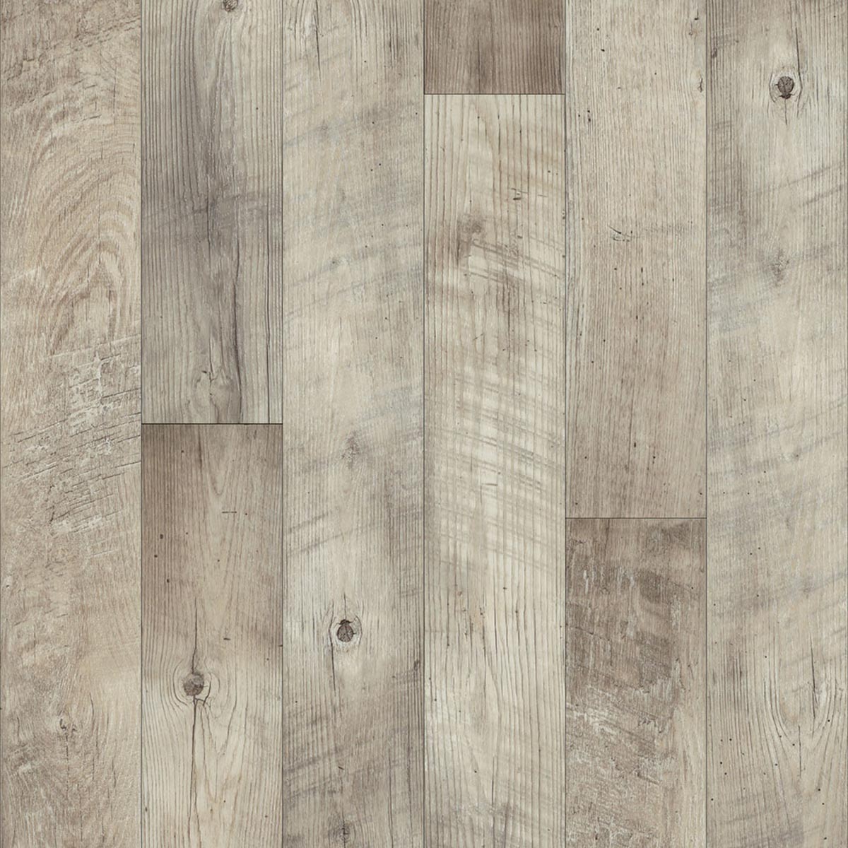 sea shell - Rudy's Flooring & Remodeling